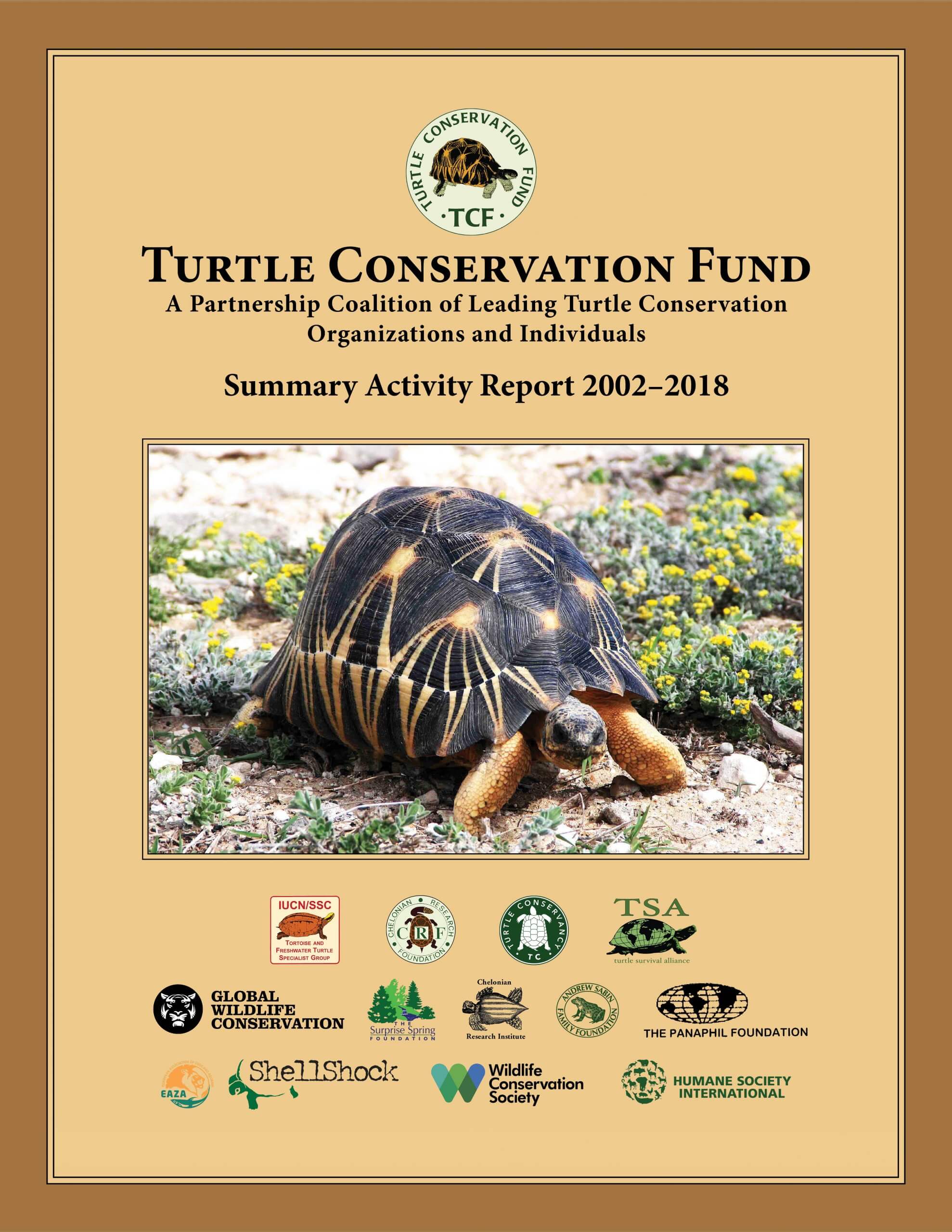Turtle Conservation Fund